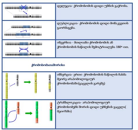 მე ვარ აბიტურიენტი