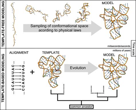 approaches for predicting rna structure top template free modeling