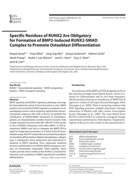 pdf specific residues of runx2 are obligatory for formation of bmp2