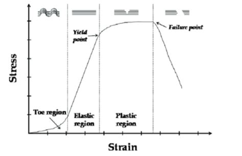 Concepts Of Connective Tissue Deformation Basic Concepts Of Joint Mobilization Evaluation And