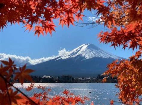 일본 단풍의 계절 후지산 단풍 1일 관광 투어 And 오시노 핫카이 And 오이시 공원 And 가와구치코 단풍 회랑 도쿄 출발 할인쿠폰 바우처 오전의 밝은 미래