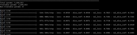 Terminal Output From Keras Showing The Epoch Number Loss Metrics And Download Scientific