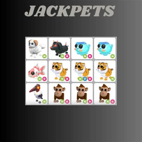 Adopt Me Bundle 12x Game Item Gameflip