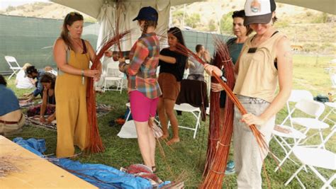 Willow Basketmaking Classes Groundwork