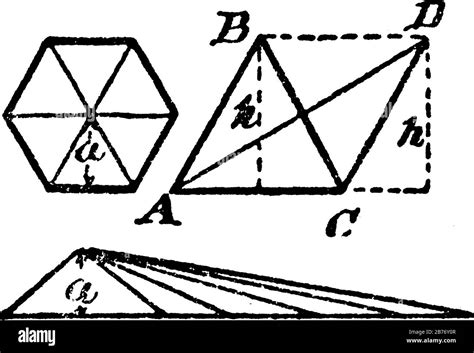 Equilateral Polygon