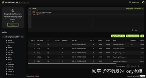 Whattheduck：一个基于浏览器的csv查询工具 知乎