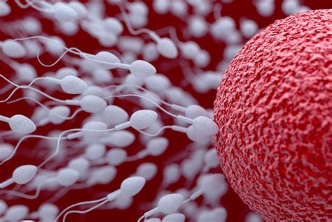 Male Tube Blockage Blocked Epididymis Toronto Total Wellness Centre