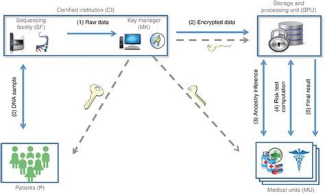 Privacy Preserving Architecture For Genetic Testing Genotype Data And Download Scientific