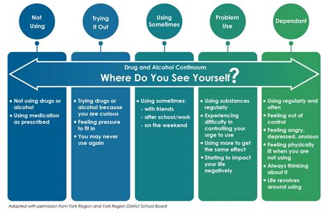 What Is Drug Use Continuum At Claire Favenc Blog