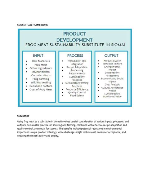 Conceptual Framework Pdf Wellness