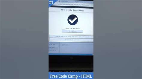 Html Freecodecamp Course Review 1 Youtube