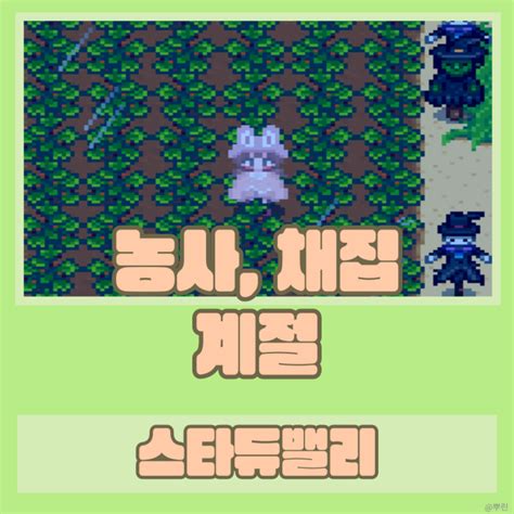 스타듀밸리 스듀 농사 채집 계절 및 성장기간 네이버 블로그