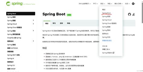 Springboot快速入门（介绍，创建的3种方式，web分析）快速开发一个 Spring Boot Web项目 Csdn博客
