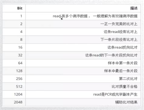 生信学习——sam和bam格式文件的shell小练习（附详细答案解读） csdn博客