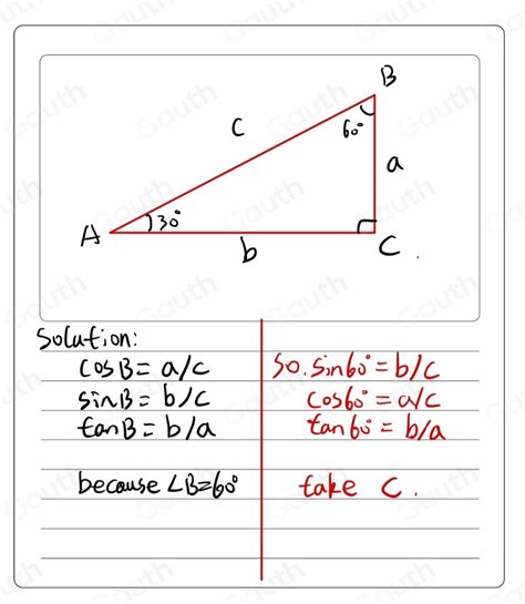 Solved Using The Picture Below Which Of The Following Shows A Correct