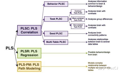 Pls（plscplsr）偏最小二乘 知乎