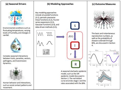 An Exploration Of Modeling Approaches For Capturing Seasonal Transmission In Stochastic Epidemic