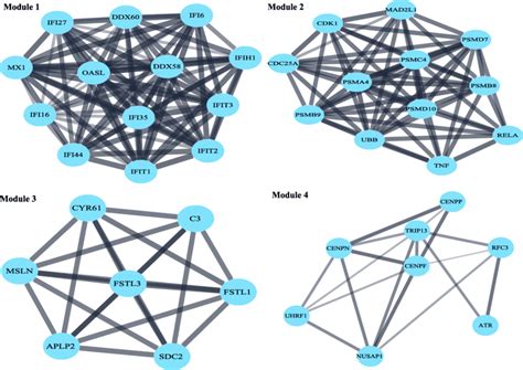 Four Key Modules Of The Protein Protein Interaction Network Analysis