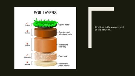 SOIL PROFILE SOIL TEXTURE AND STRUCTURE Pptx