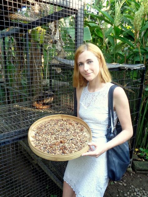 Mini Guide To Ubud In Bali Kopi Luwak Coffee Expensive Coffee Civet Cat Coffee