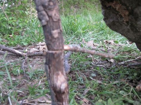 Be Prepared In Survival Life How To Survive And Prepare For An