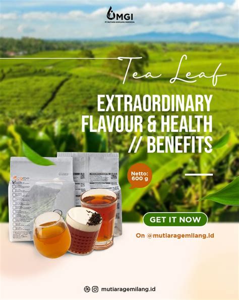 Serial Produk Teh Premium Terbaik Pt Mgi Teh Oolong 4 Jenis Oolong Tea Mutiara Gemilang