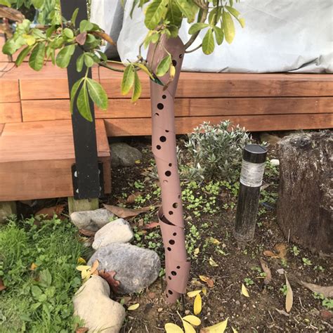 Tree Guard Spiral