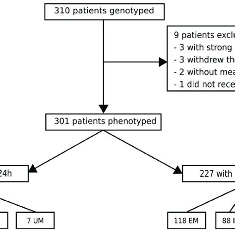 Flowchart Of Data Analysis Download Scientific Diagram