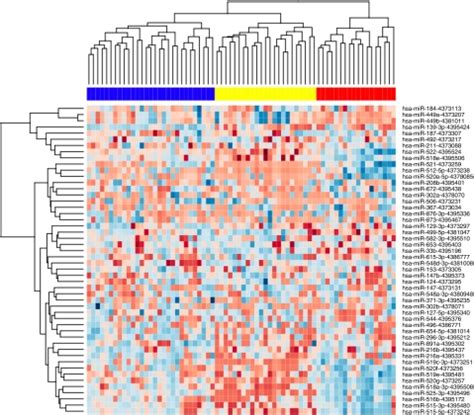 Hierarchical Clustering Of IBC And Non IBC Samples According To