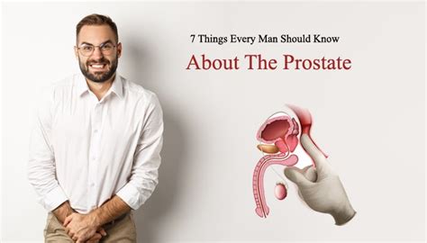 7 Things Every Man Should Know About The Prostate ~ Sarvmanglam