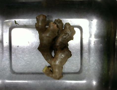 Fruit Object Detection Dataset By Fruit Detection