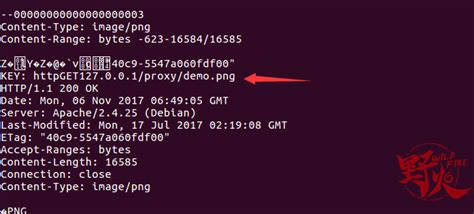 nginx整数溢出漏洞cve 2017 7529 知乎
