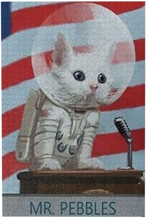 The First Cat In Space 300 Piece Format Jigsaw Ubuy India