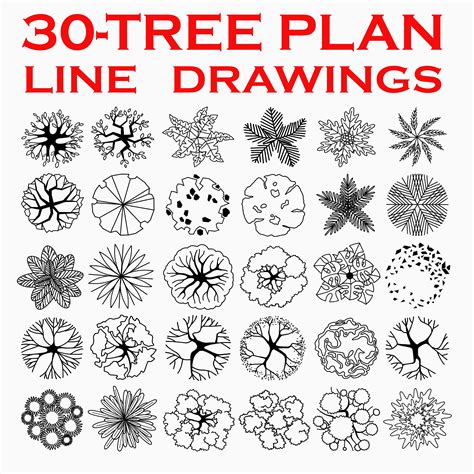 Landscape Tree Plan Line Drawings Landscape Design Templates Custom