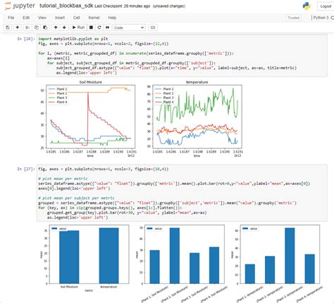 python sdk blockbax