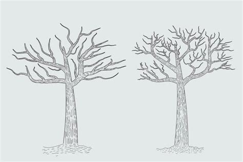 Leafless Tree Coloring Page