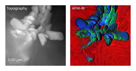 What Is AFM IR An Overview