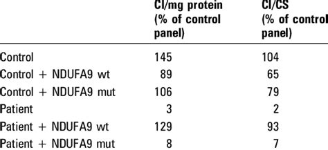 Of Complex I Activity After Complementation In Fibroblasts With The Download Scientific Diagram