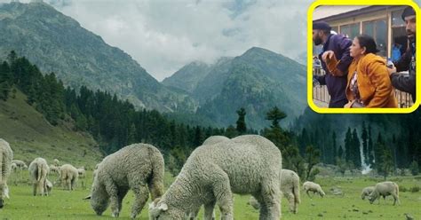 Pahalgam Aatanki Hamla बैसरन पहलगाम की वो खूबसूरत जगह जहां जाने को