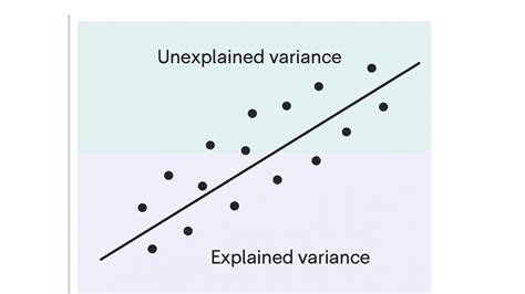 What Is The Coefficient Of Determination Examples In Analytics Plainsignal