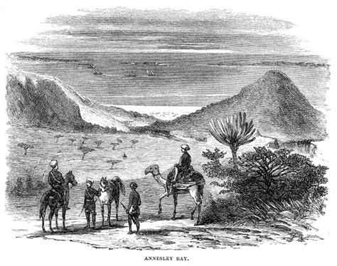 Eritrean Drawings Illustrations Royalty Free Vector Graphics And Clip Art Istock