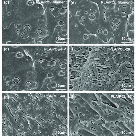 SEM images of (a) NEAT-PLA, (b) NEAT-PCL, (c) PLA/PCL filament along... | Download Scientific ...