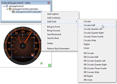 Scale Layout Vcl Devexpress Documentation