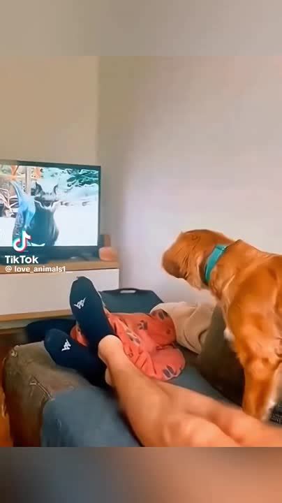 Domenico Condorelli On Linkedin 🤣 😍 😂