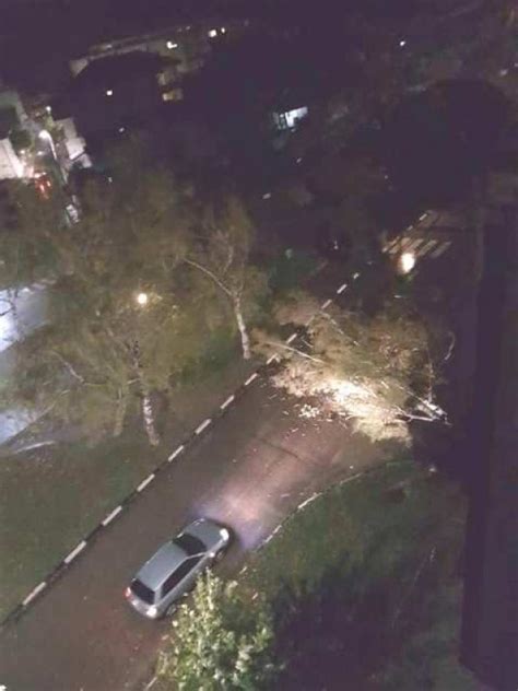 Възстановяват щети от вятъра в Мездра