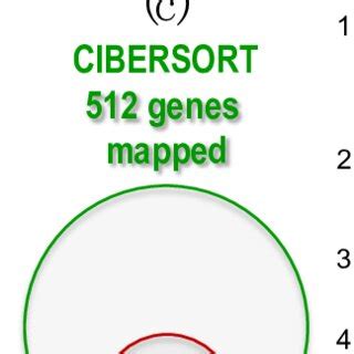 Heatmap Of Expression Profiles Corresponding To The Genes Selected In