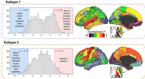 Association Between Transcriptome And Connectivity Patterns For Each