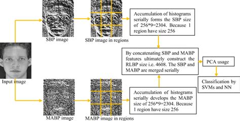 Complete Flow Diagram Of The Proposed Work Based On Rlbp Download Scientific Diagram