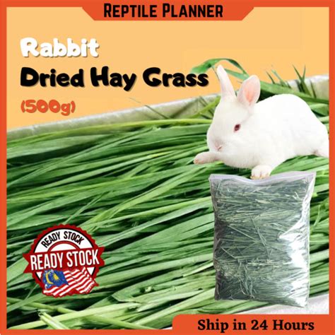 Premium Hay Dried Hay Grass 500g Timothy Alfafa Wheat Oat Barley