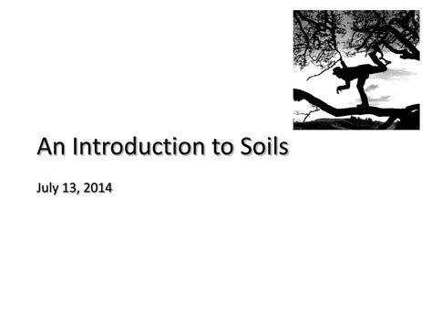 PPT An Introduction To Soils July 13 2014 PowerPoint Presentation Free Download ID 1713468